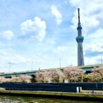Tokyo Bay Yakatabune Cruise with Traditional JapaneseShow Drinks - Final Thoughts: Why You Should Consider This Experience
