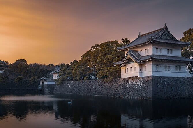 Tokyo Cherry Blossom Half Day Walking Tour with a Local Guide - The Practicalities: How the Tour Works