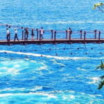 Tokyo Cherry Blossom, Hot Spring, and Strawberry Picking Tour - Shuzenji Temple: A Cultural Landmark