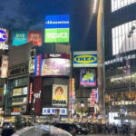 Tokyo City Customized Private Day Tour - Final Thoughts: Who Is This Tour For?