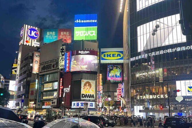 Tokyo City Customized Private Day Tour - Final Thoughts: Who Is This Tour For?