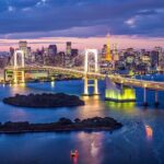 Tokyo City Night View Tour with Native Japanese Driver - The Practical Side: Transportation & Pricing