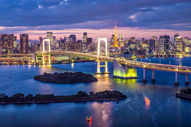 Tokyo City Night View Tour with Native Japanese Driver - The Practical Side: Transportation & Pricing