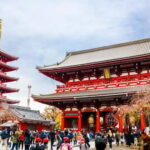 Tokyo City of Lights Private Tour Sightseeing Tour Private - What Travelers Say