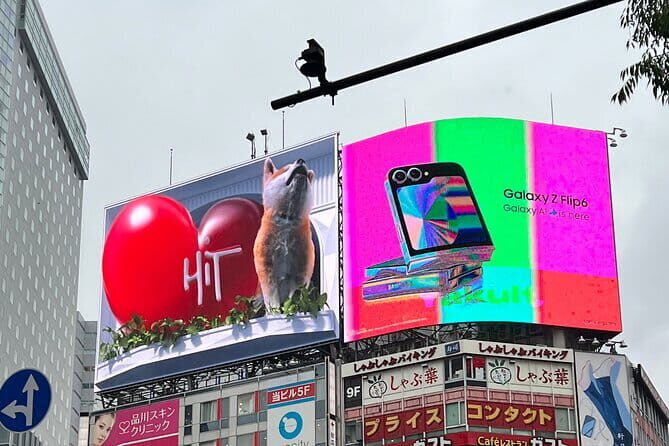 Tokyo City Walk Private Sightseeing Day Tour - What Makes This Tour Stand Out?