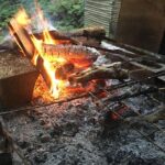 Tokyo Countryside Exploration Private Tour - What You Can Expect from the Experience