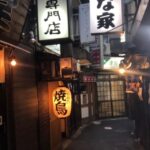 Tokyo: Customizable Private Guided Walking Tour - Why the Price Matches the Experience