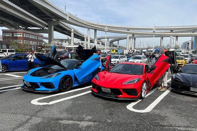 Tokyo Daikoku PA. Custom Car Tour - The Scenic Drive: Wangan and Bay Route