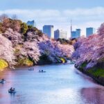 Tokyo day Tour with Lunch/ English-Speaking Driver Cum Guide - Real Traveler Insights