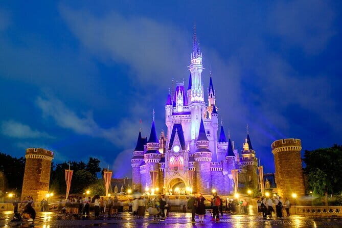 Tokyo Disney Resort Park E-Tickets with Optional Tokyo Metro Pass - Value Analysis and Practical Tips