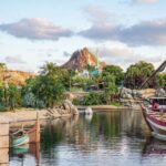 Tokyo Disneyland or DisneySea Ticket & Door to Door Transfer - Final Thoughts