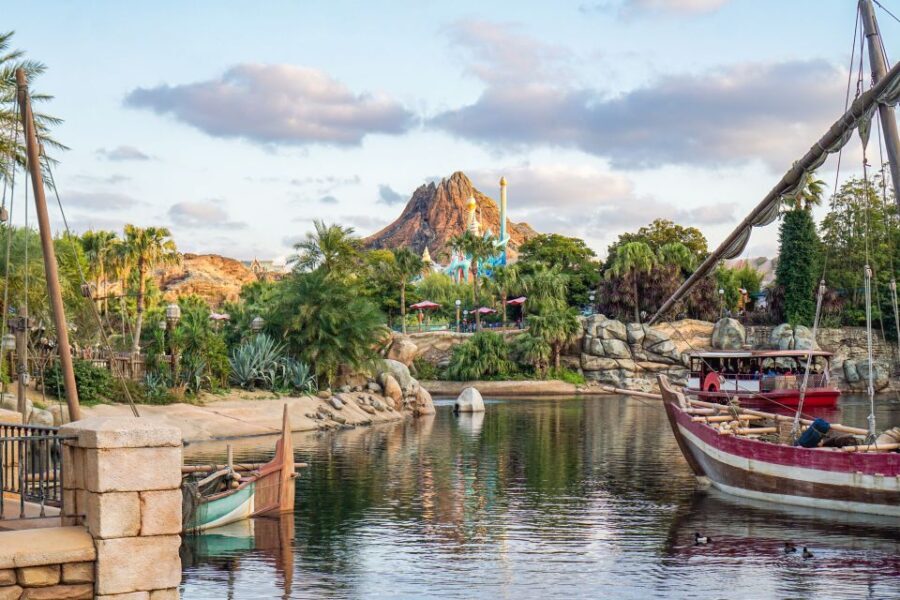 Tokyo Disneyland or DisneySea Ticket & Door to Door Transfer - Final Thoughts