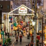 Tokyo, Encounter Cultural Heritage & enjoy the old town - Authenticity and Authentic Experiences