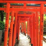 Tokyo Food Adventure: Street food, Teppanyaki cuisine, shrine etc - Why This Tour Offers Valuable Insight