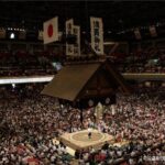 Tokyo Grand Sumo Tournament Viewing Tour - A Deep Dive into the Experience