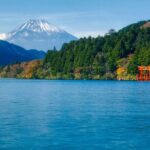 Tokyo Hakone : Mt.Fuji, Owakudani, Open Air Museum, Hakone Shrine - What Real Travelers Say