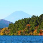 Tokyo: Hakone, Owakudani & Gotemba Premium Outlet 1Day Bus tour - Final Thoughts