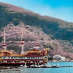 Tokyo: Hakone Private Day Trip with English Speaking Driver - The Itinerary in Detail