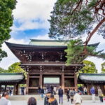 Tokyo: Half-Day Afternoon Small Group Tour - What to Expect on the Tour