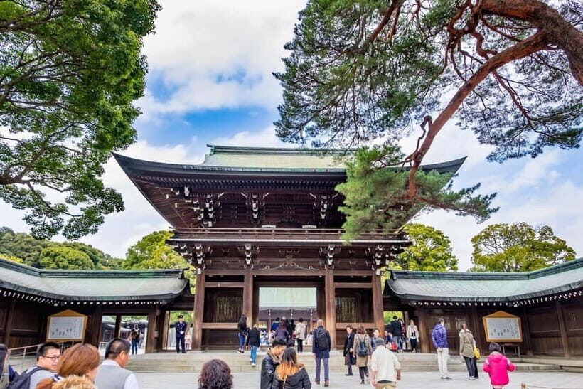 Tokyo: Half-Day Afternoon Small Group Tour - What to Expect on the Tour