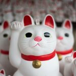 Tokyo Half-day Customized Private Tour - The Itinerary in Detail: What to Expect