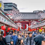 Tokyo: Half-Day Morning Small Group Tour - What to Expect from the Tour