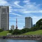 Tokyo Haneda - Layover 5 Hours Private Tour - Authentic Experiences and Practical Considerations