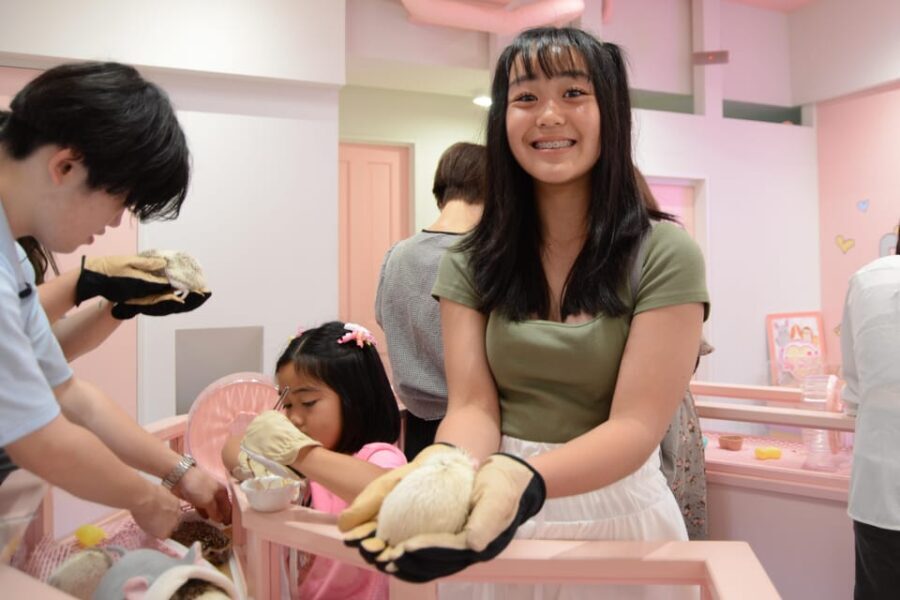 Tokyo: Harajuku Family Friendly Guided Walking Tour - A Practical Guide to the Harajuku Guided Tour