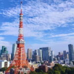 Tokyo Highlight Private Tour by Car with English Speaking Driver - Who Will Love This Tour?