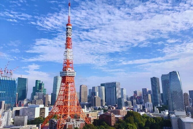 Tokyo Highlight Private Tour by Car with English Speaking Driver - Who Will Love This Tour?