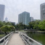 Tokyo Highlights Tour: Sumo, Sushi, Tea, and Tokyo Tower - Relaxing in a Historic Edo-Period Garden