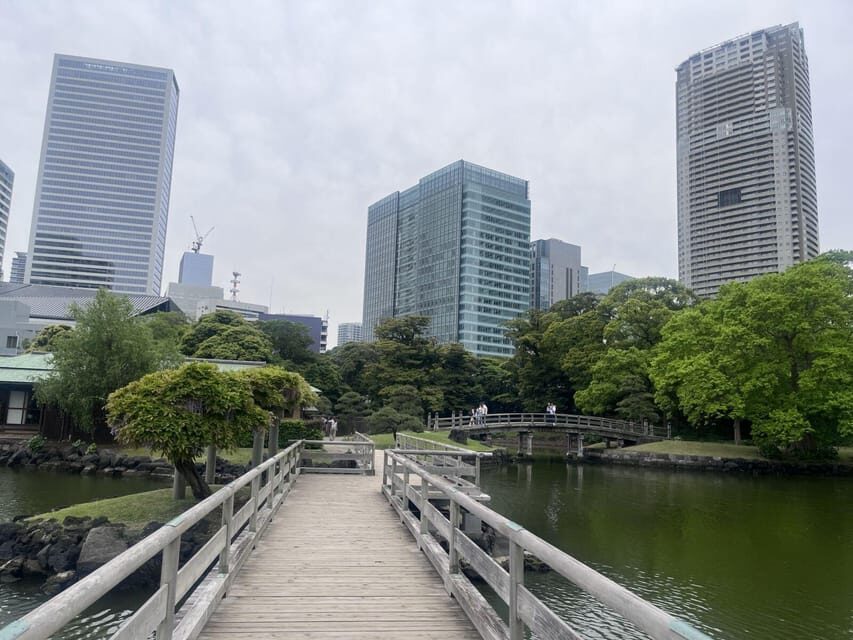 Tokyo Highlights Tour: Sumo, Sushi, Tea, and Tokyo Tower - Relaxing in a Historic Edo-Period Garden