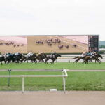 Tokyo: Horse Racing Tour with Local Fan - The Excitement of Race Days