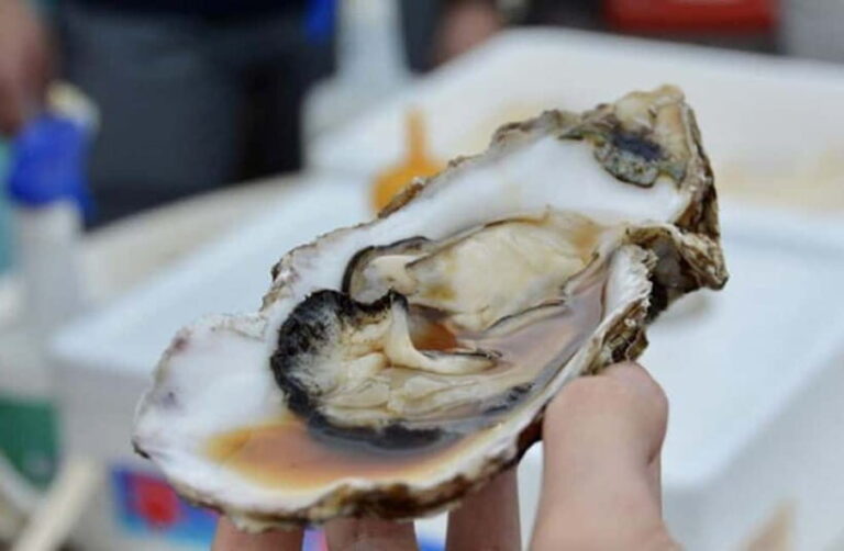 Tokyo: Ibaraki Day Trip with Hitachi Park & Fruit Picking - The Bottom Line