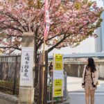 Tokyo in a Day: Iconic Must-Sees and Hidden Gems (Group Tour) - Who Is This Tour Best For?