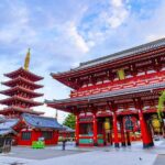 Tokyo Layover Tour with Licensed Guide:Narita Airport Dep - Who Should Consider This Tour?