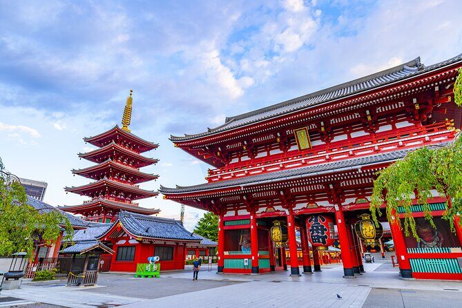 Tokyo Layover Tour with Licensed Guide:Narita Airport Dep - Who Should Consider This Tour?