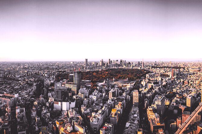 Tokyo Local Fashion Designers Shopping Tour with a Stylist - Analyzing the Itinerary: What to Expect at Each Stop