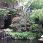 Tokyo Meguro River Private Cultural Tour with Licensed Guide - Who Will Enjoy This Tour?