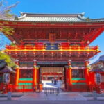 Tokyo: Meiji Jingu & Kanda Myjin guided tour - Who Is This Tour Best Suited For?