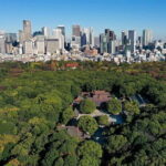 Tokyo: Meiji Shrine Historical Tour with Local Guide - The Value of This Tour