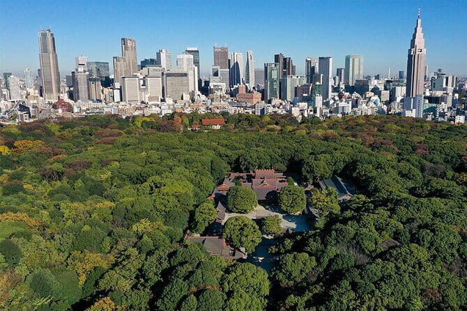 Tokyo: Meiji Shrine Historical Tour with Local Guide - The Value of This Tour