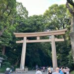 Tokyo Morning Tour: Asakusa, Meiji Shrine and Tsukiji Fish Market - The Value of Guided Insight and Timing