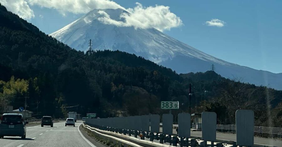Tokyo: Mount Fuji and Hakone Private Sightseeing Day Tour - Is it Good Value?