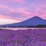 Tokyo: Mount Fuji Day Trip with Scenic & Local Stops - The Itinerary Breakdown: What Can You Expect?