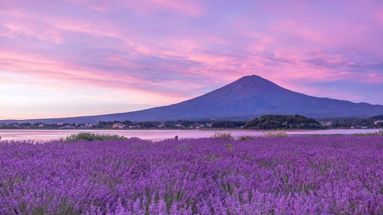 Tokyo: Mount Fuji Day Trip with Scenic & Local Stops - The Itinerary Breakdown: What Can You Expect?