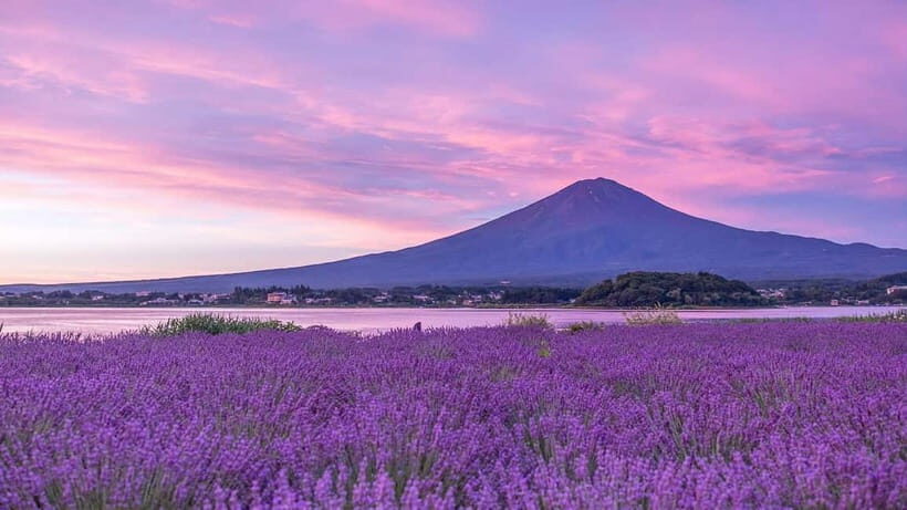 Tokyo: Mount Fuji Day Trip with Scenic & Local Stops - The Itinerary Breakdown: What Can You Expect?
