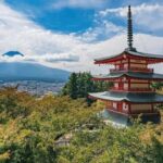 Tokyo: Mount Fuji & Hakone Private Customized Full Day Tour - The Practical Side: Transportation, Timing, and Cost