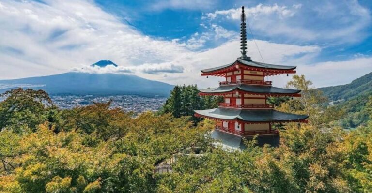 Tokyo: Mount Fuji & Hakone Private Customized Full Day Tour - The Practical Side: Transportation, Timing, and Cost