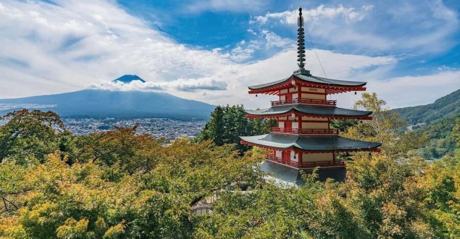 Tokyo: Mount Fuji & Hakone Private Customized Full Day Tour - The Practical Side: Transportation, Timing, and Cost